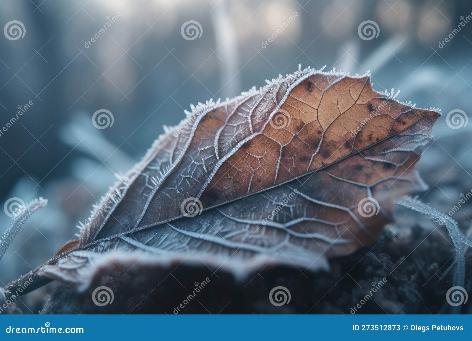 A Close Up of a Leaf with Frost on it S Leaves Stock Illustration ...