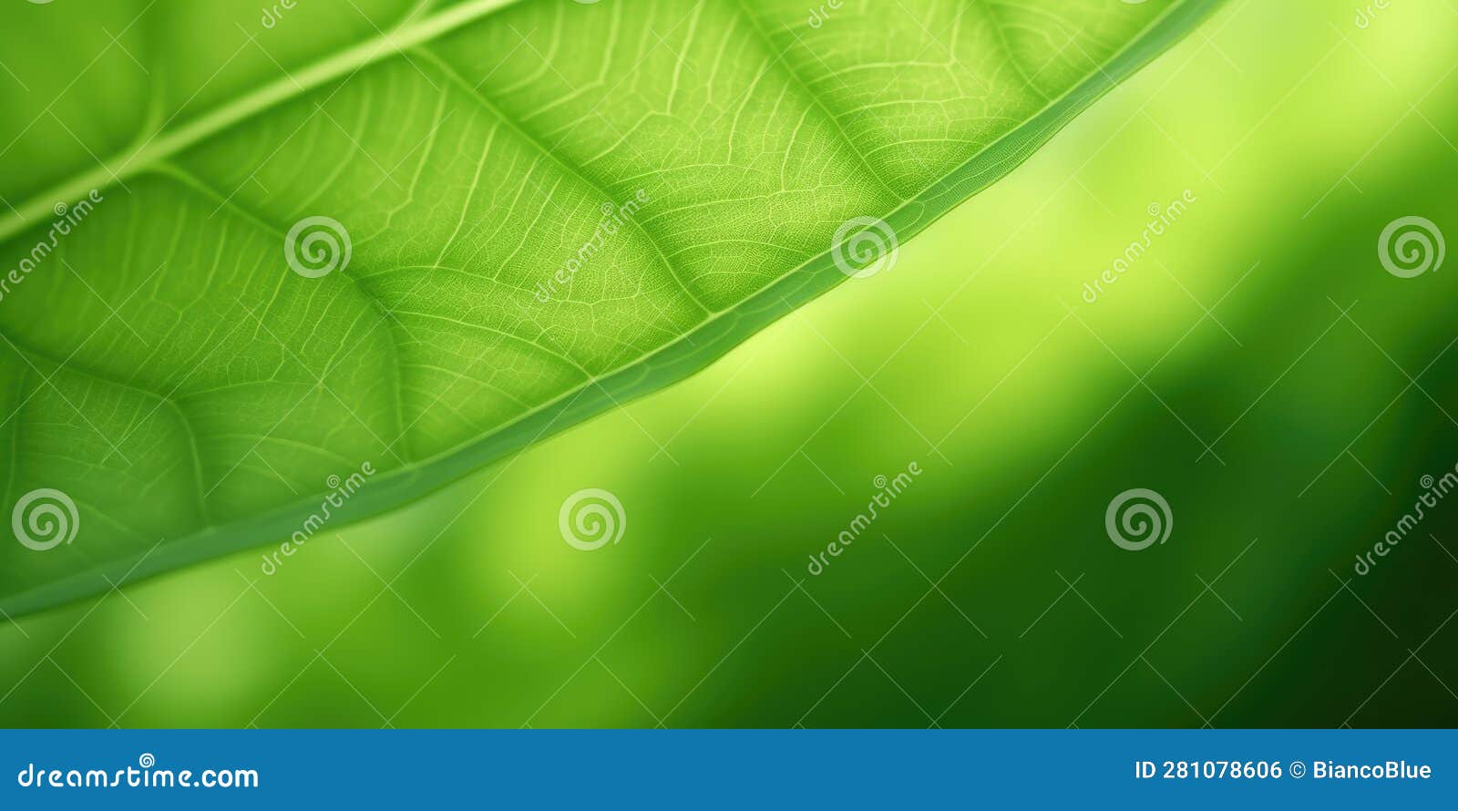 The Close-up of Leaf Texture in Green Abstract Nature Background with a ...