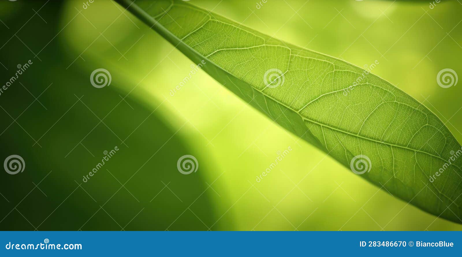 The Close-up of Leaf Texture in Green Abstract Nature Background with a ...