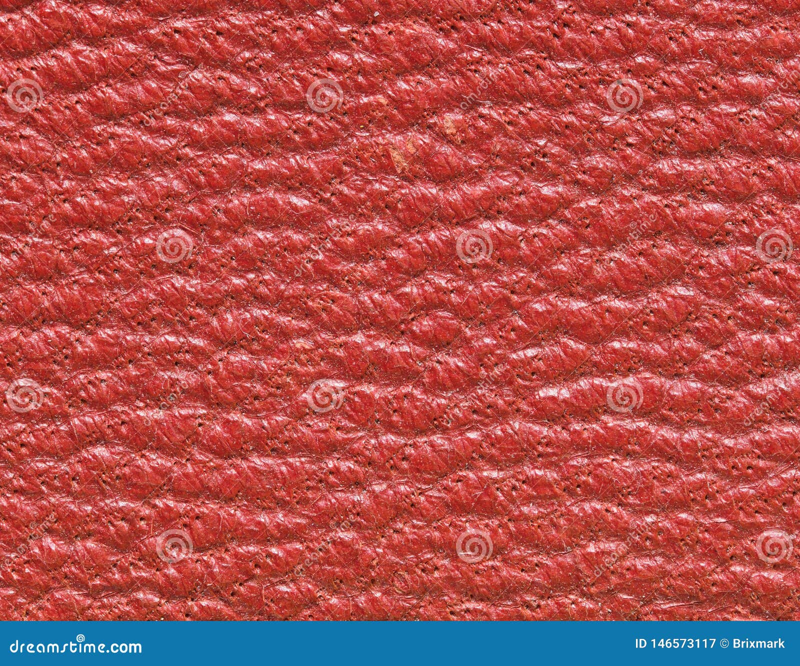 Leathery Stock Images - Download 5,355 Royalty Free Photos