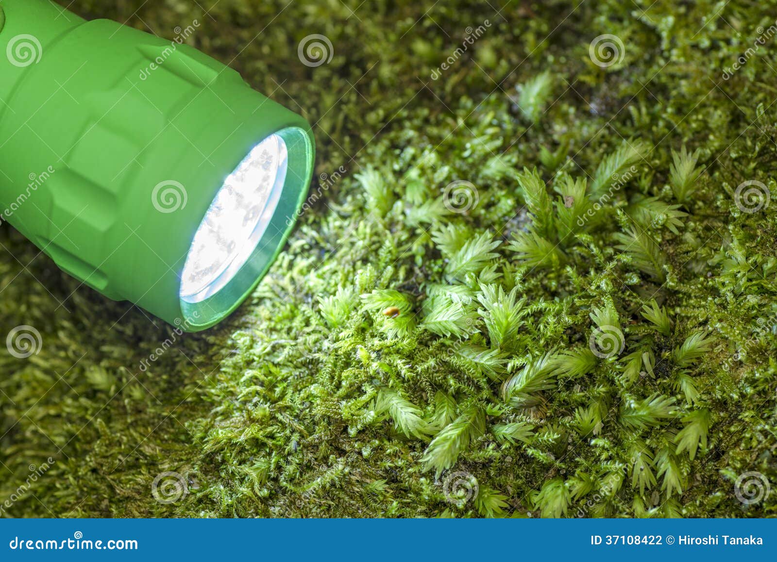 Close up LED flashlight stock photo. Image of illuminant - 37108422