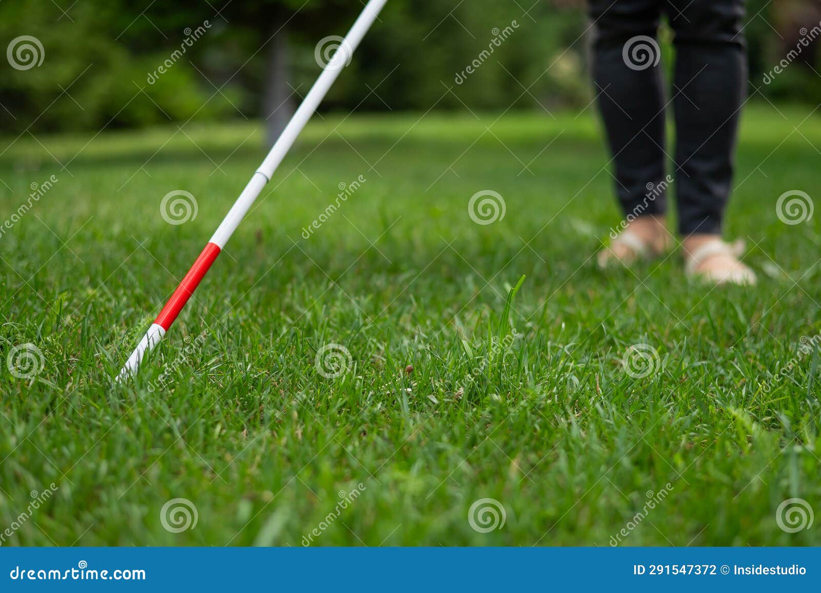 Close-up of the Legs of an Elderly Woman Using a Tactile Cane on a Walk ...