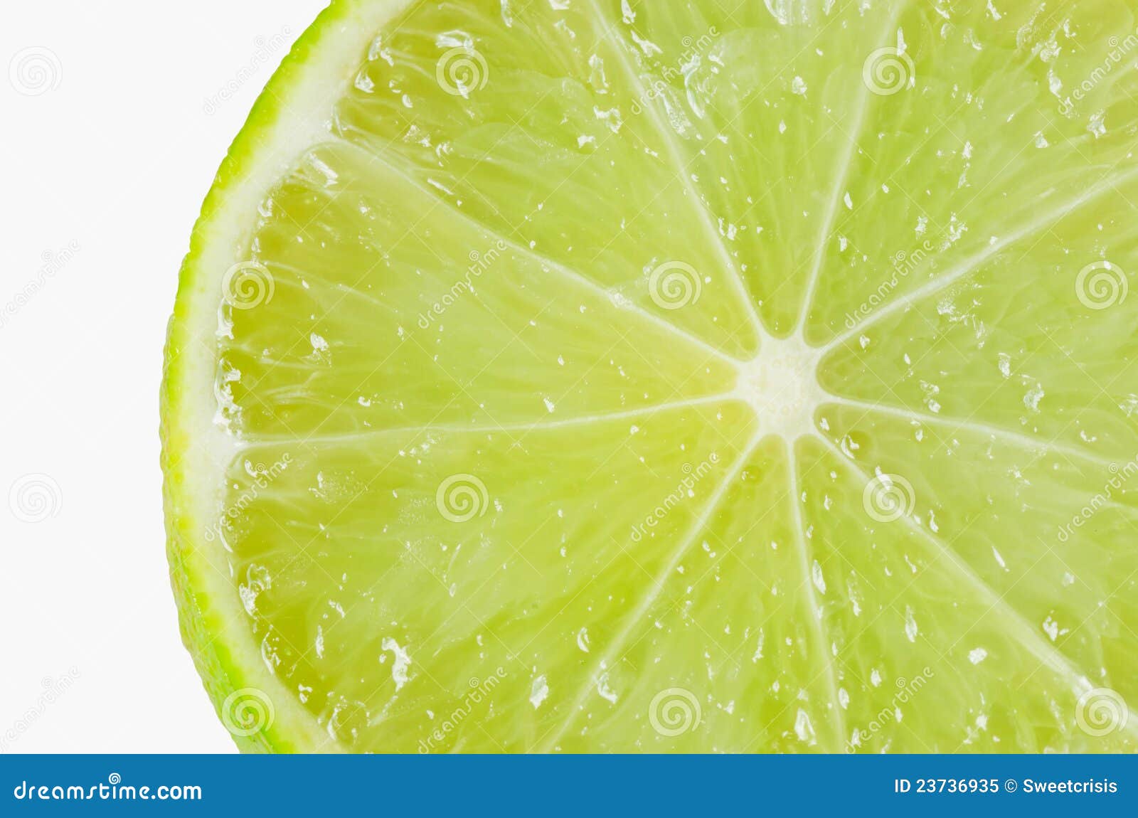 Close up lemon isolated stock image. Image of nature - 23736935