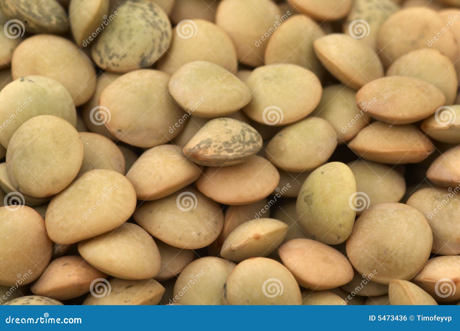 Close-up of lentil grain stock photo. Image of legumes - 5473436