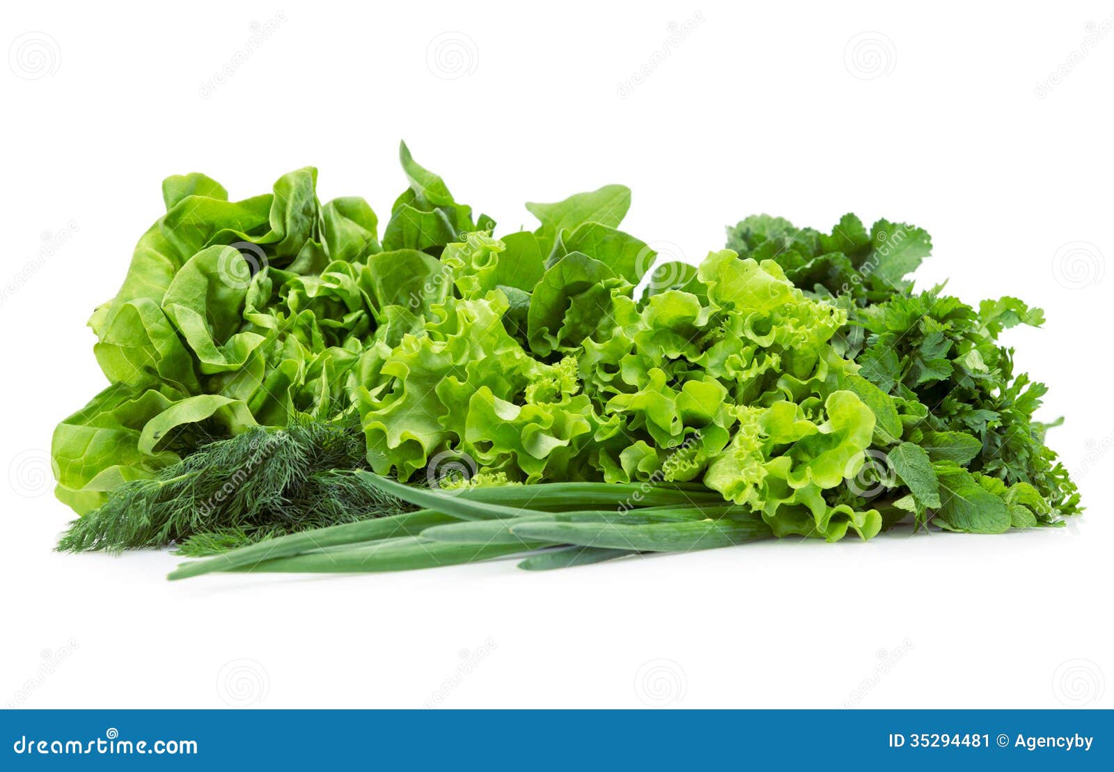 Close Up of Lettuce, Spring Onions and Greens Stock Image - Image of ...
