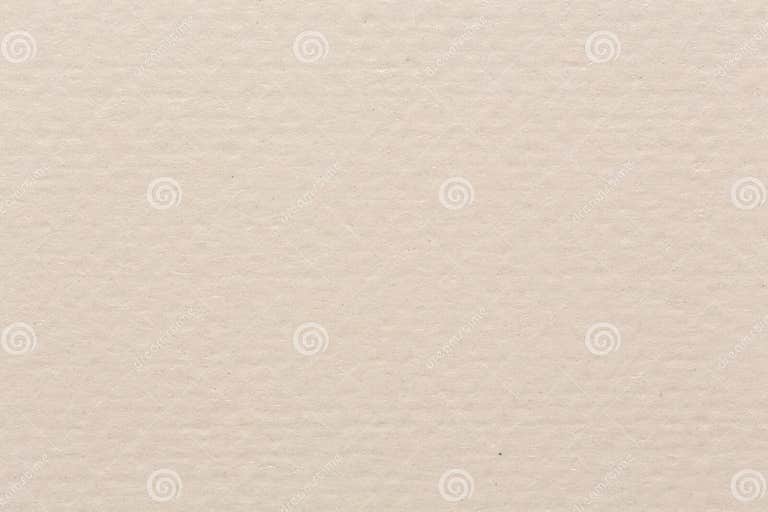 Close Up of Light Beige Texture. High Quality Texture in Extremely High ...