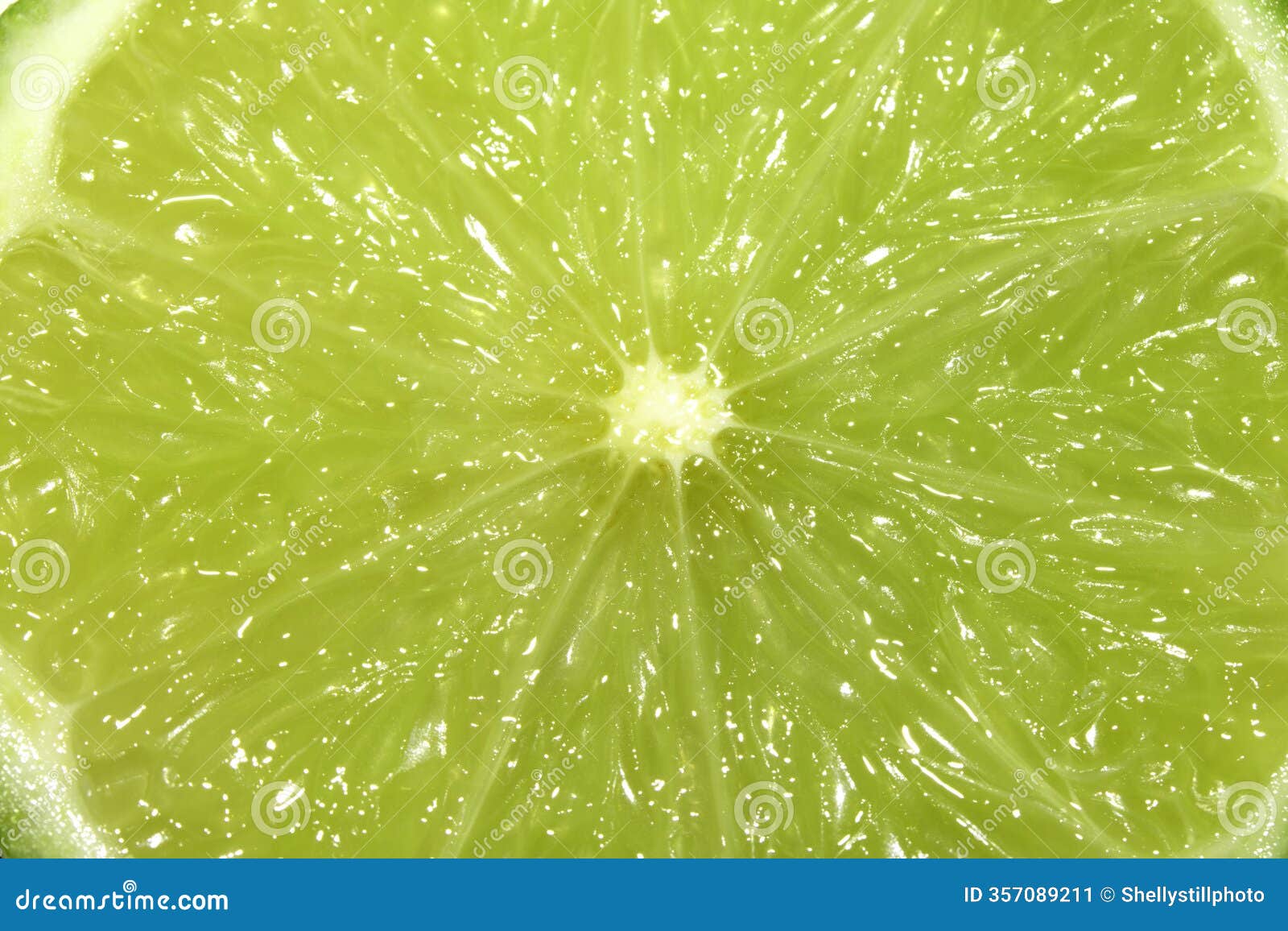 Close Up of Lime Slice and Segments Fruit Juicy Stock Image - Image of ...