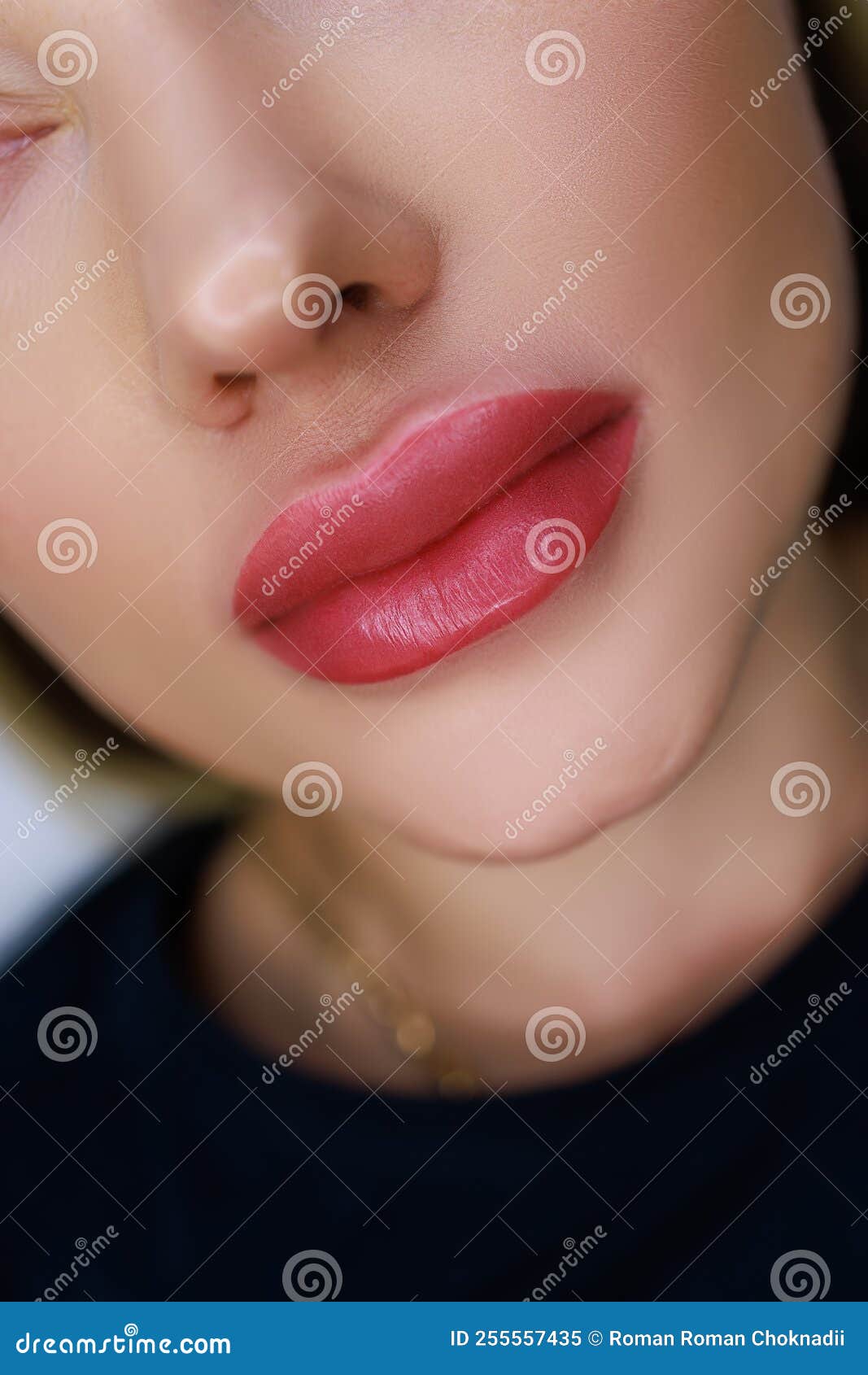Close-up of the Lips of a Beautiful Girl Model with the Work Done on ...