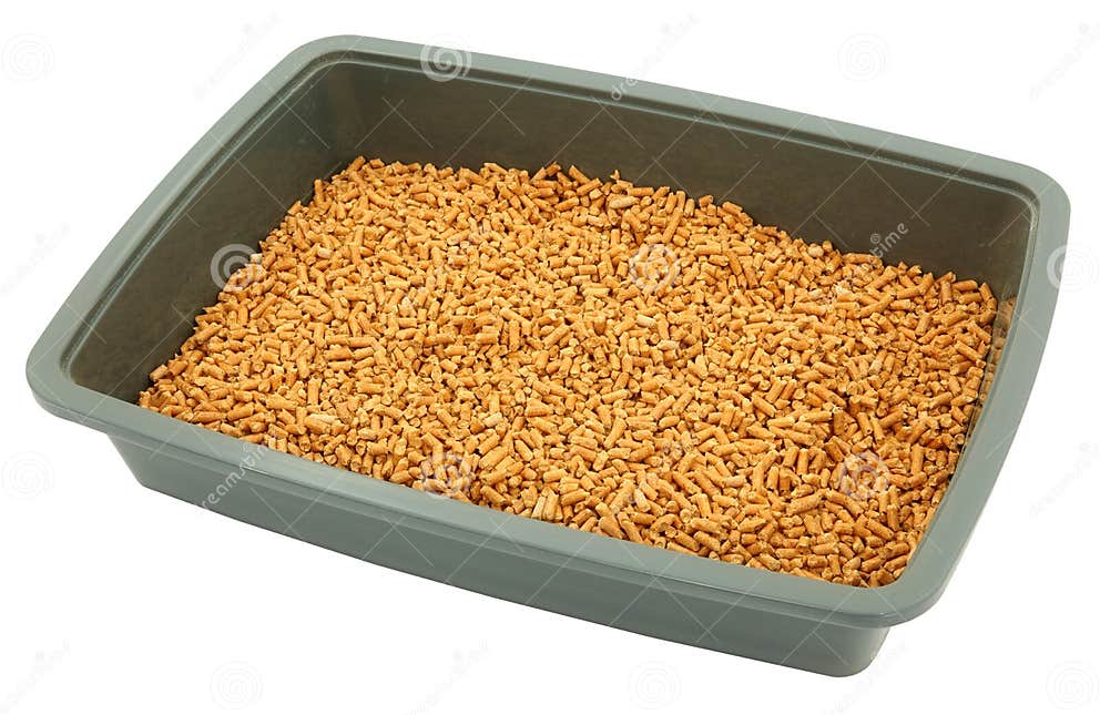 Close Up of Litter Box stock photo. Image of organic - 24015976