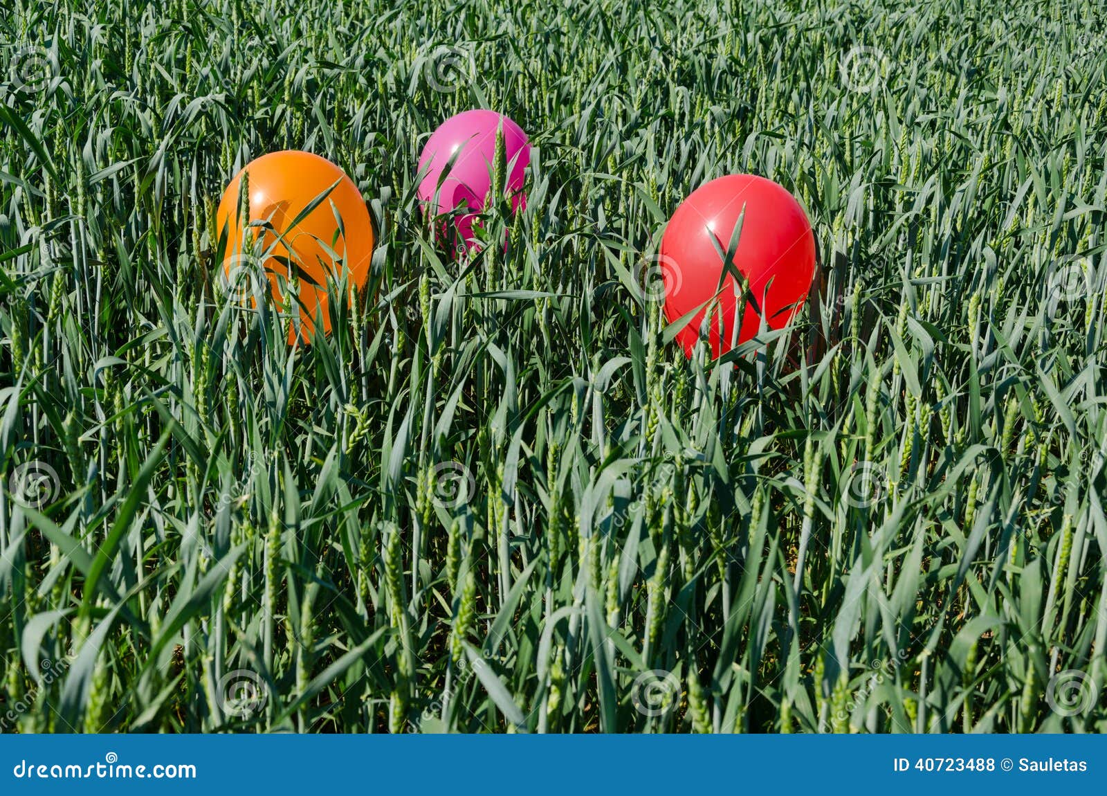Close Up of Little Balloons on High Grass Stock Photo - Image of spring ...