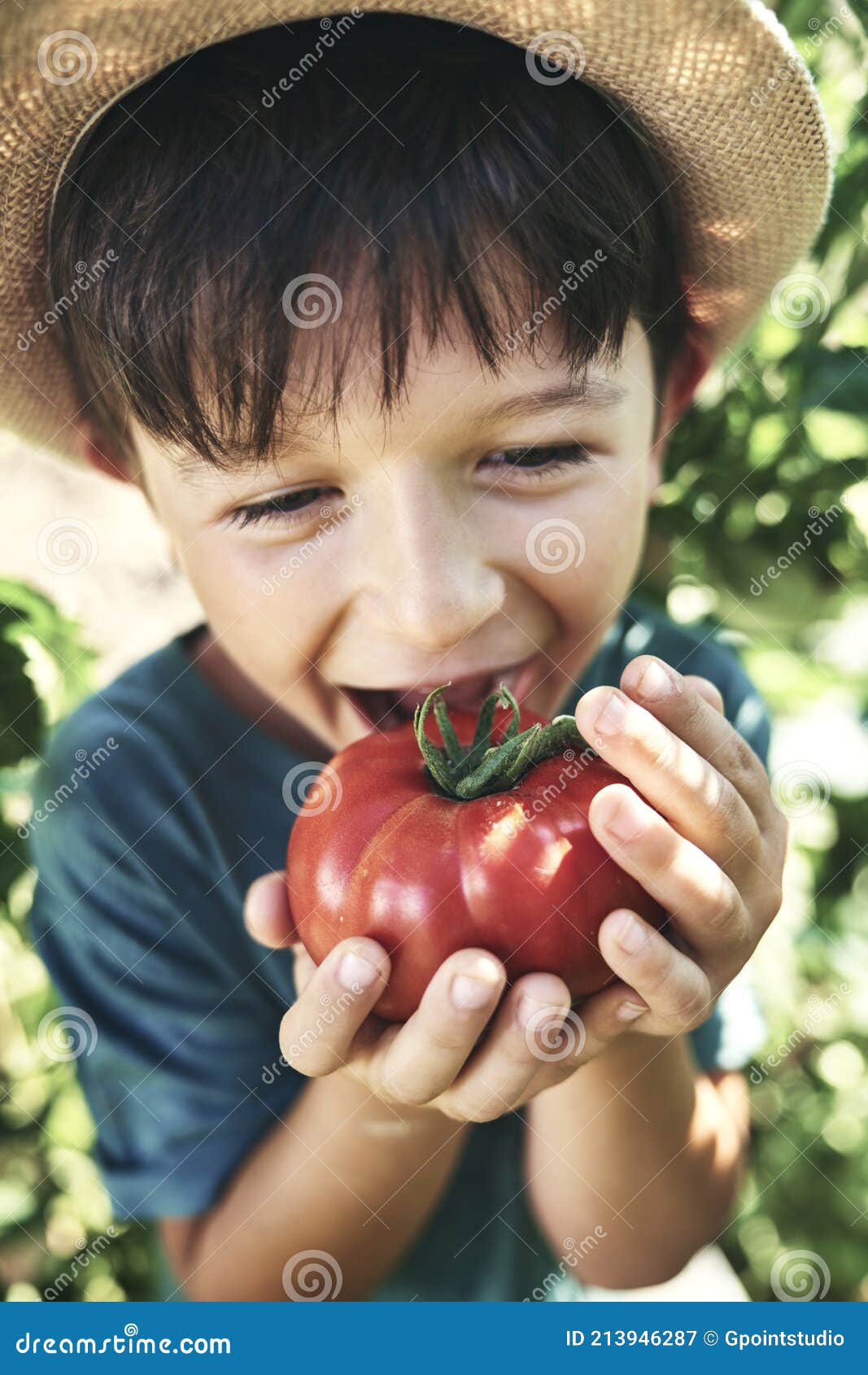 Close Up of Little Boy Eating Ripe Tomato Stock Image - Image of ...