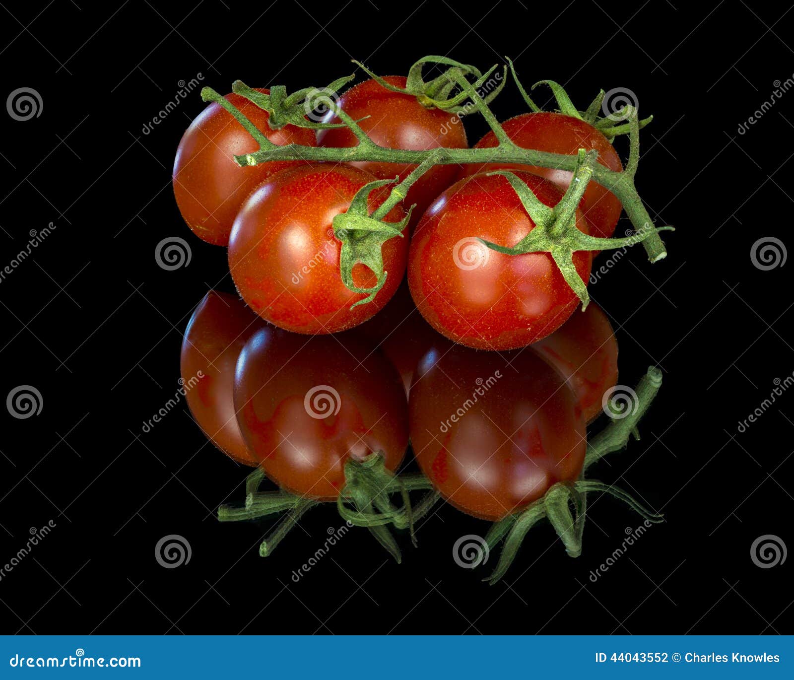 Close Up of Little Red Tomatoes Stock Photo - Image of food, fruit ...