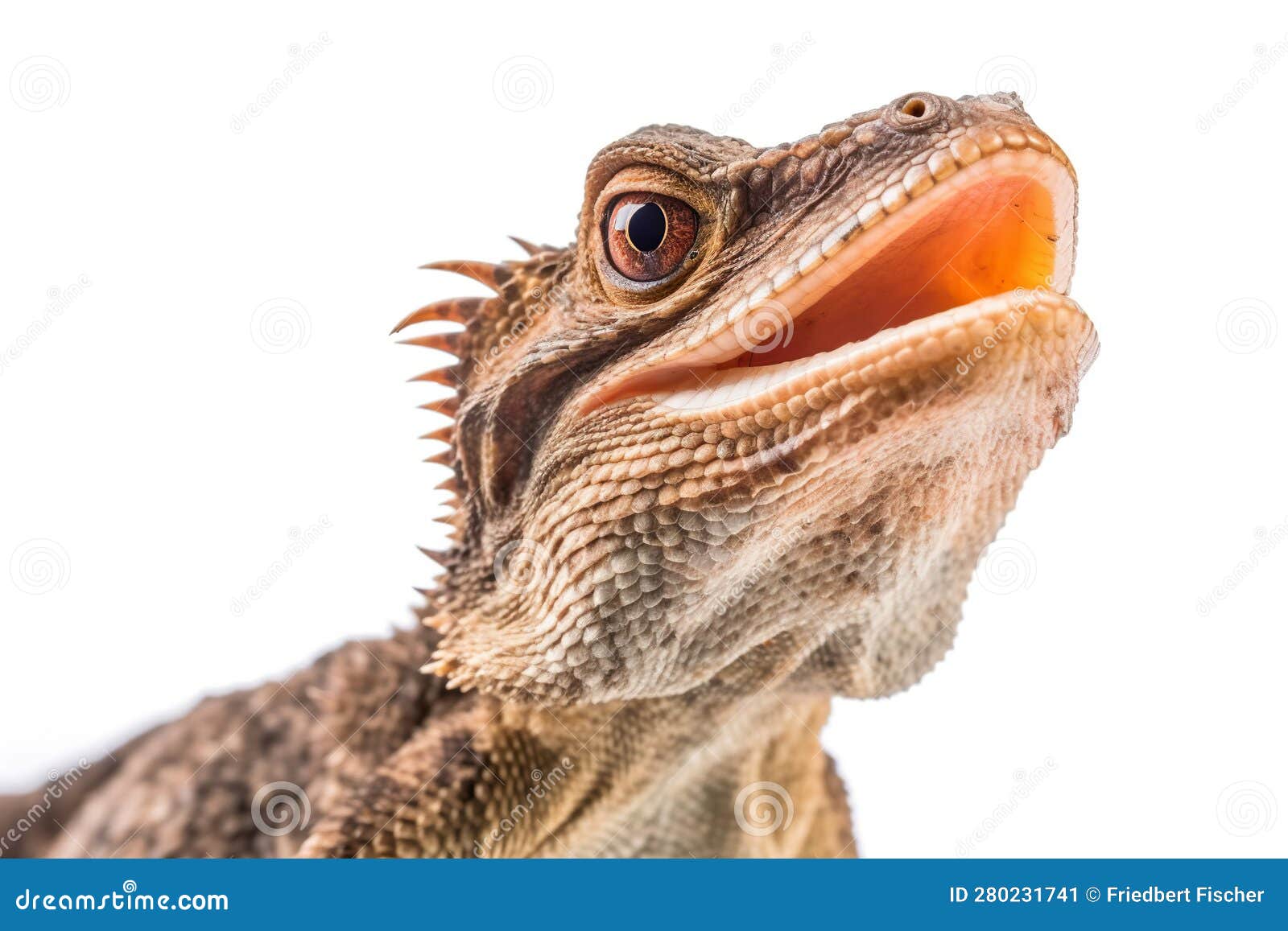 A Close Up of a Lizard with Its Mouth Open. Generative AI Image. Stock ...