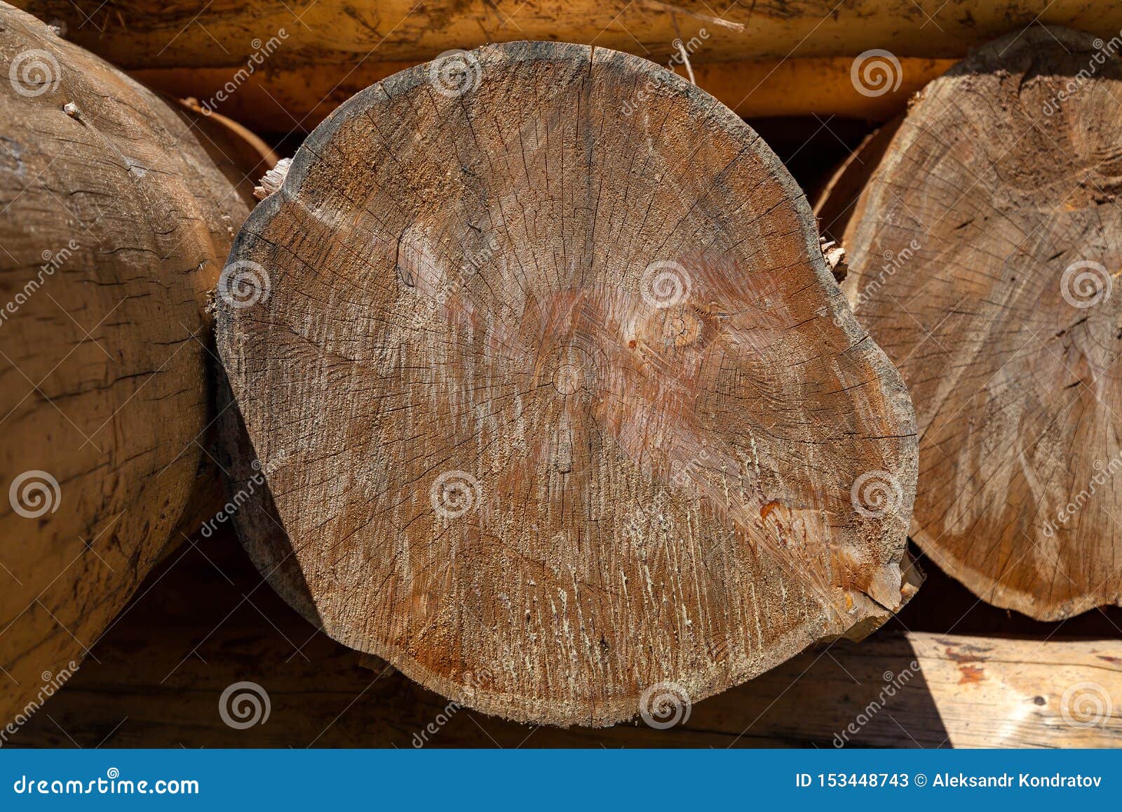 Close-up on a Log of a Tree in the Form of a Round Timber with Rings ...