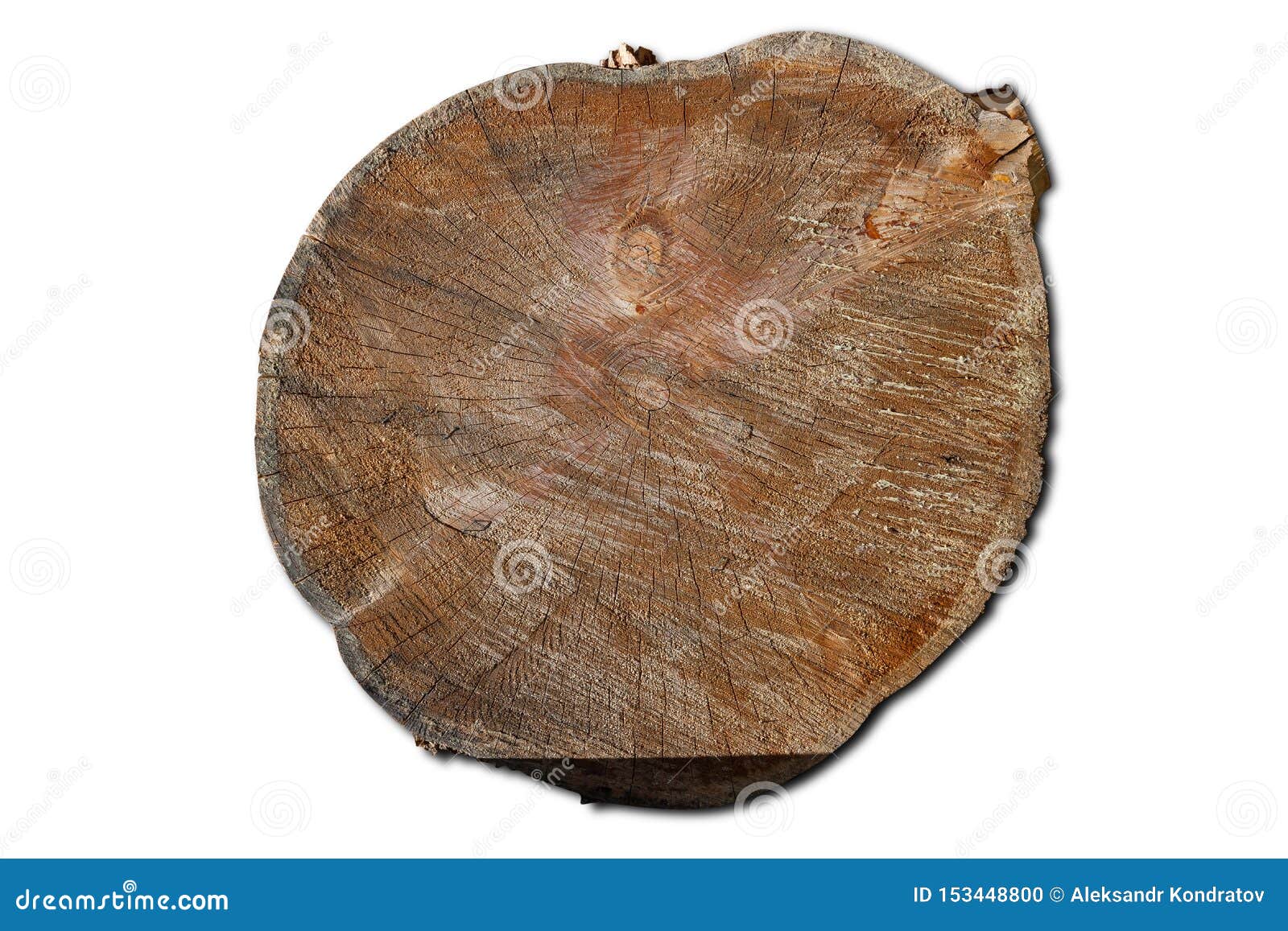 Close-up on a Log of a Tree in the Form of a Round Timber with Rings ...