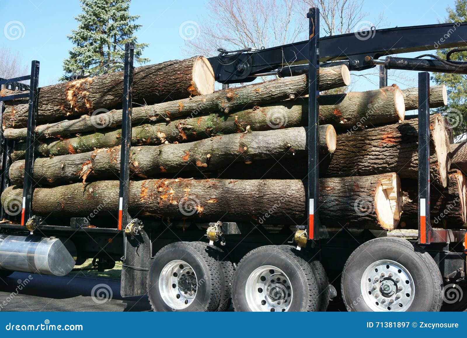 Close up on log on truck stock image. Image of lumber - 71381897