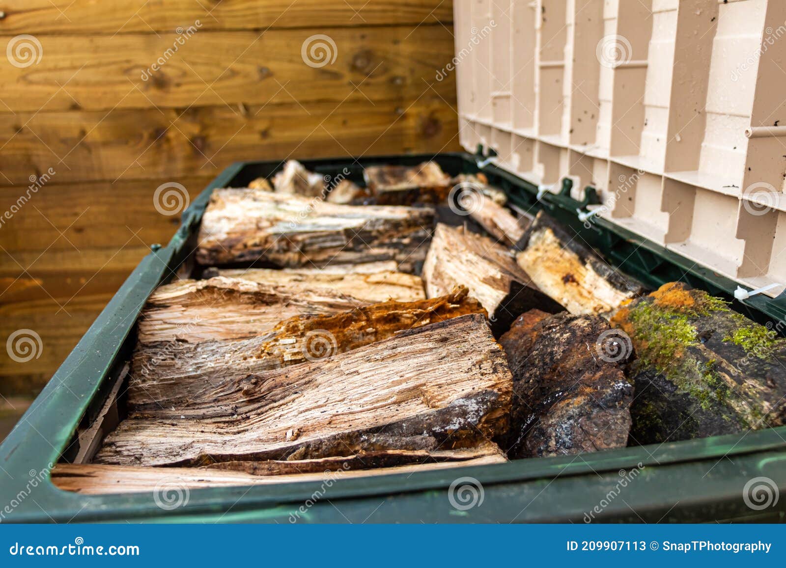 Close Up of Logs and Wood Stored in a Log Box Stock Image - Image of ...
