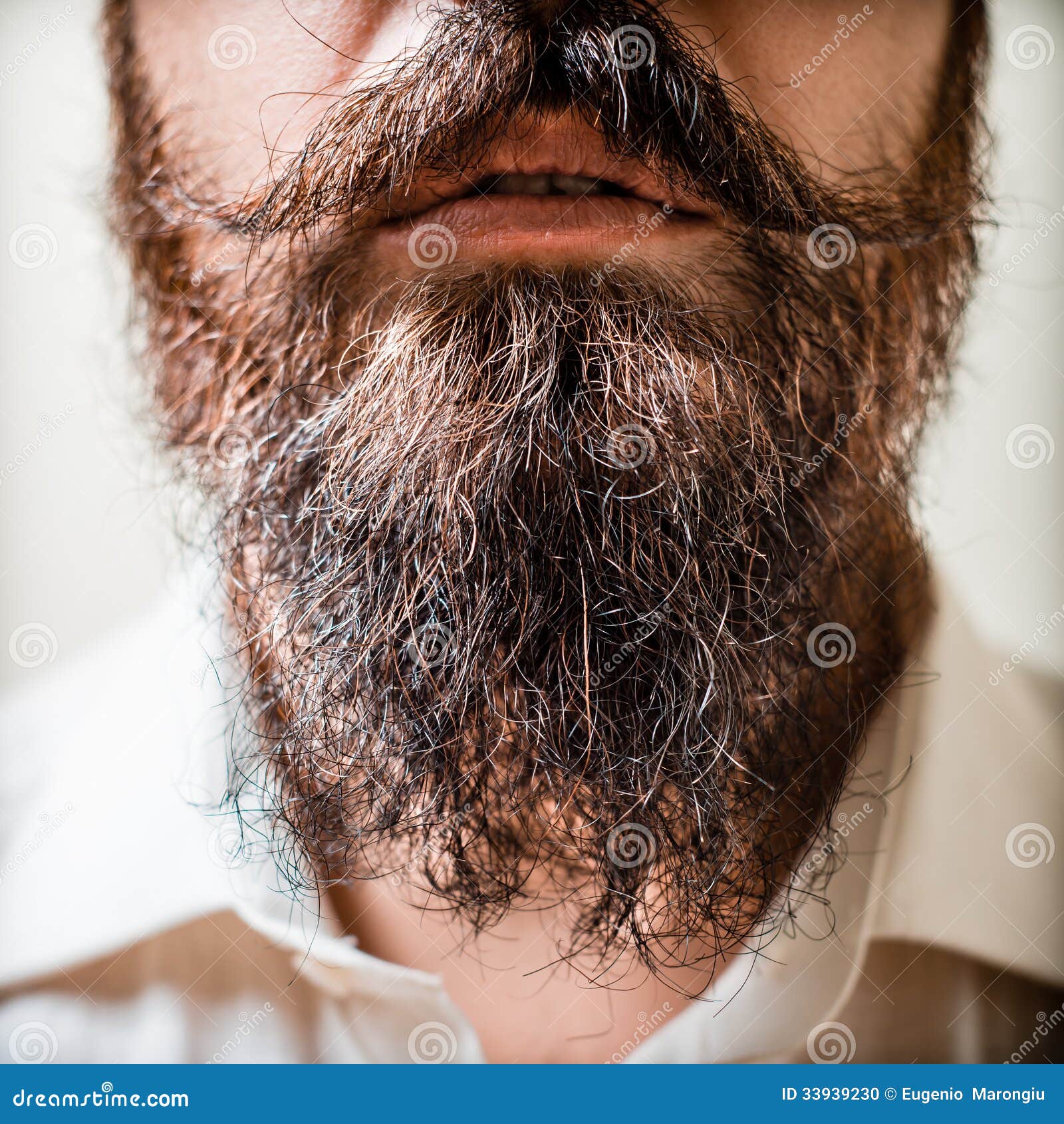 Close Up of Long Beard and Mustache Man Stock Photo - Image of hairy ...