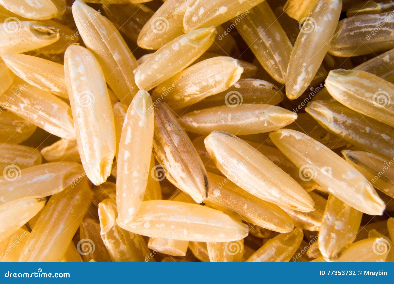 Close Up of Long Grain Brown Rice Stock Photo - Image of white, long ...