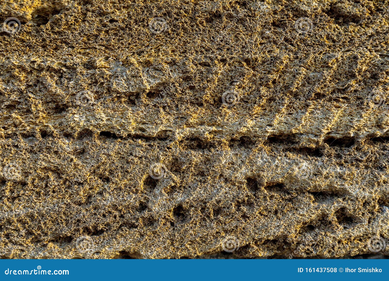 Close Up Look on High Resolution of Yellow Shell Rock Texture. Texture ...