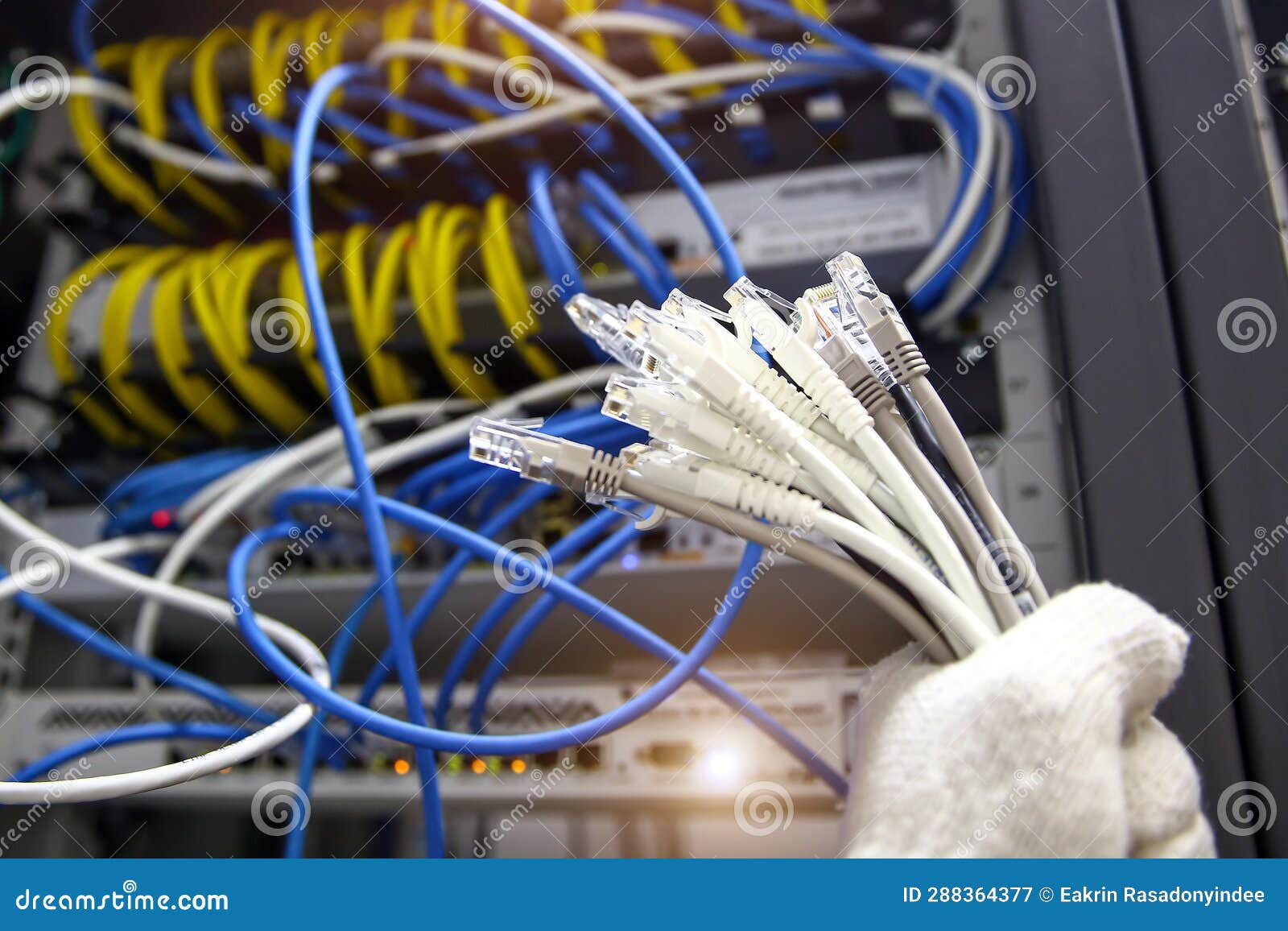 Close-up Lots of RJ45 UTP Cat6 LAN Internet Network Cable Fiber Optic ...