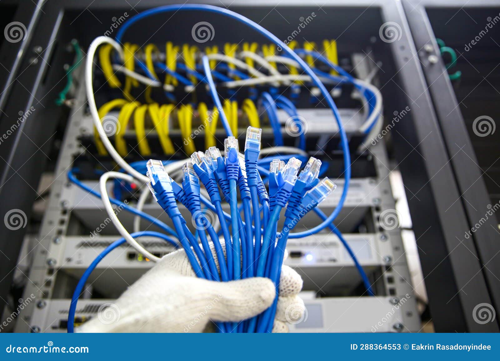 Close-up Lots of RJ45 UTP Cat6 LAN Internet Network Cable Fiber Optic ...