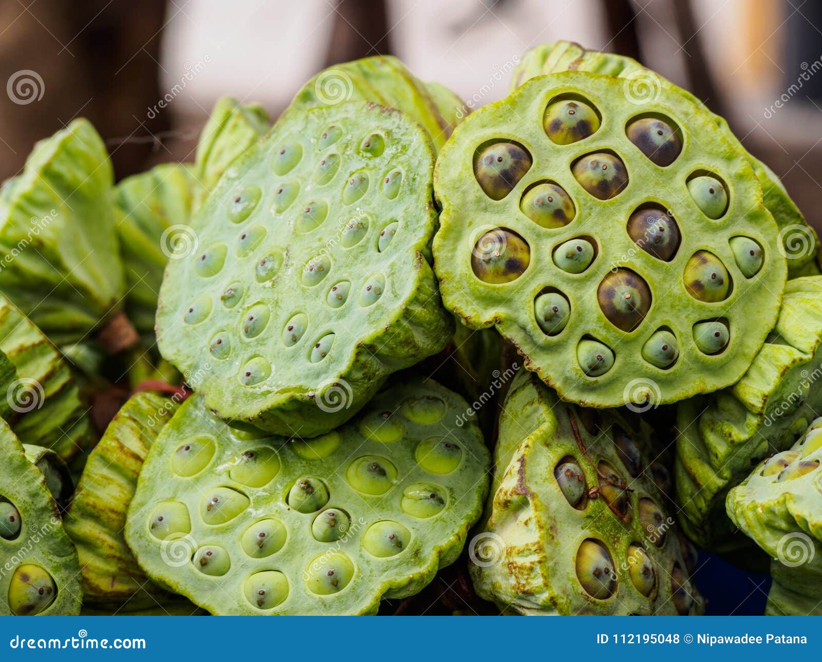 Lotus pods in the market stock photo. Image of asia - 112195048