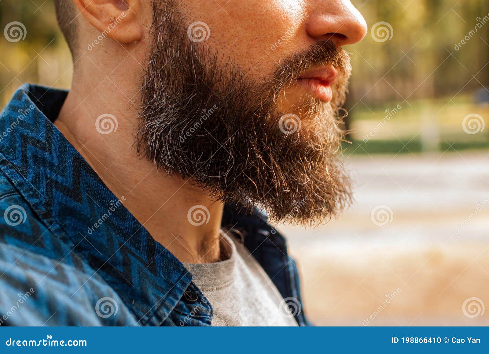 Close Up of Lower Part of Man`s Face with Beard Stock Photo - Image of ...