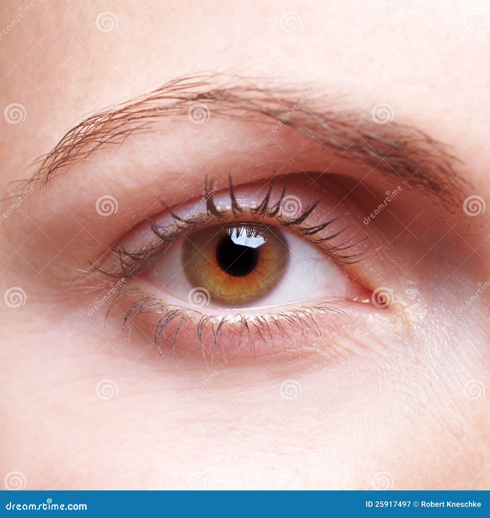Close-up ludzki oko obraz stock. Obraz złożonej z kobieta - 25917497