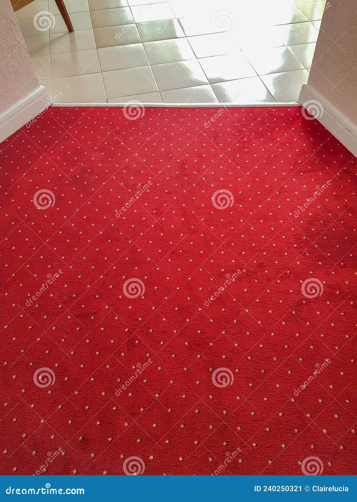 Close-up of the Luxurious Red Carpet on the Floor, the Interior of the ...
