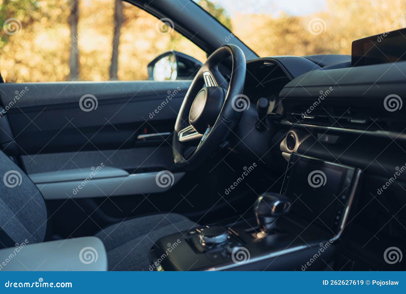 Close-up of Luxury, New Electric Car Interior. Stock Image - Image of ...