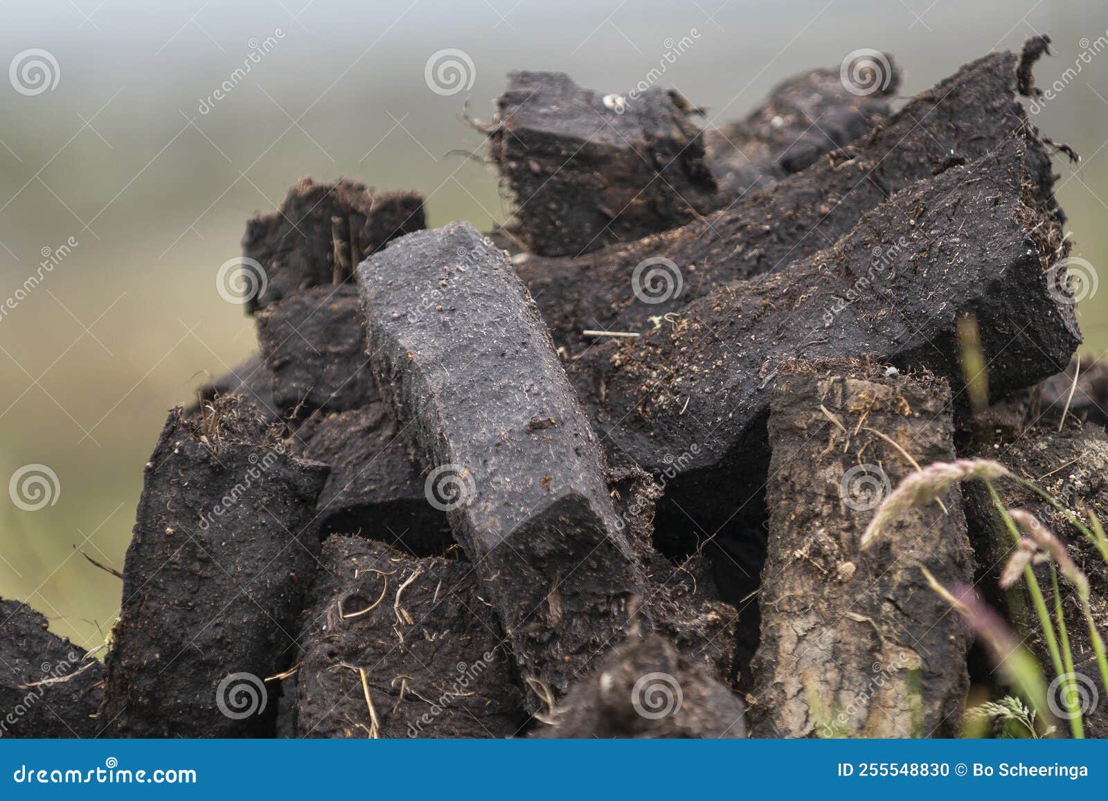 Footed turf stock photo. Image of soil, iron, plant - 255548830
