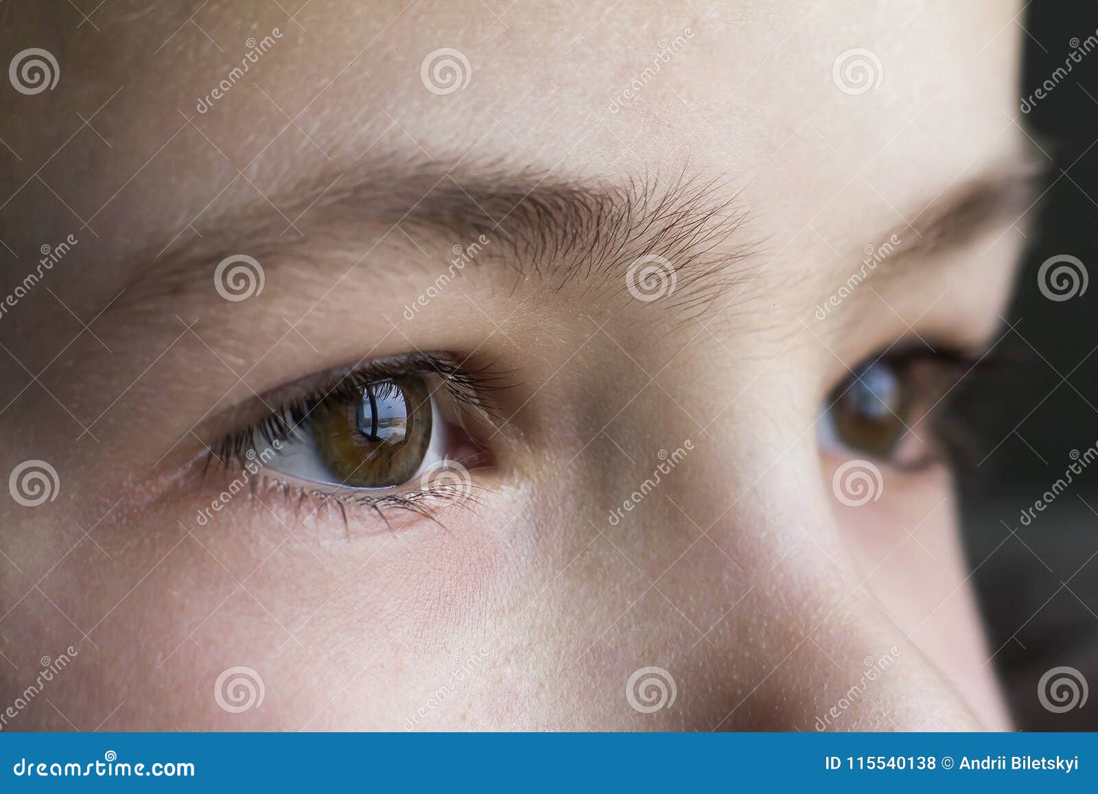 Close Up Macro of Child Boy Eyes Stock Photo - Image of little, baby ...