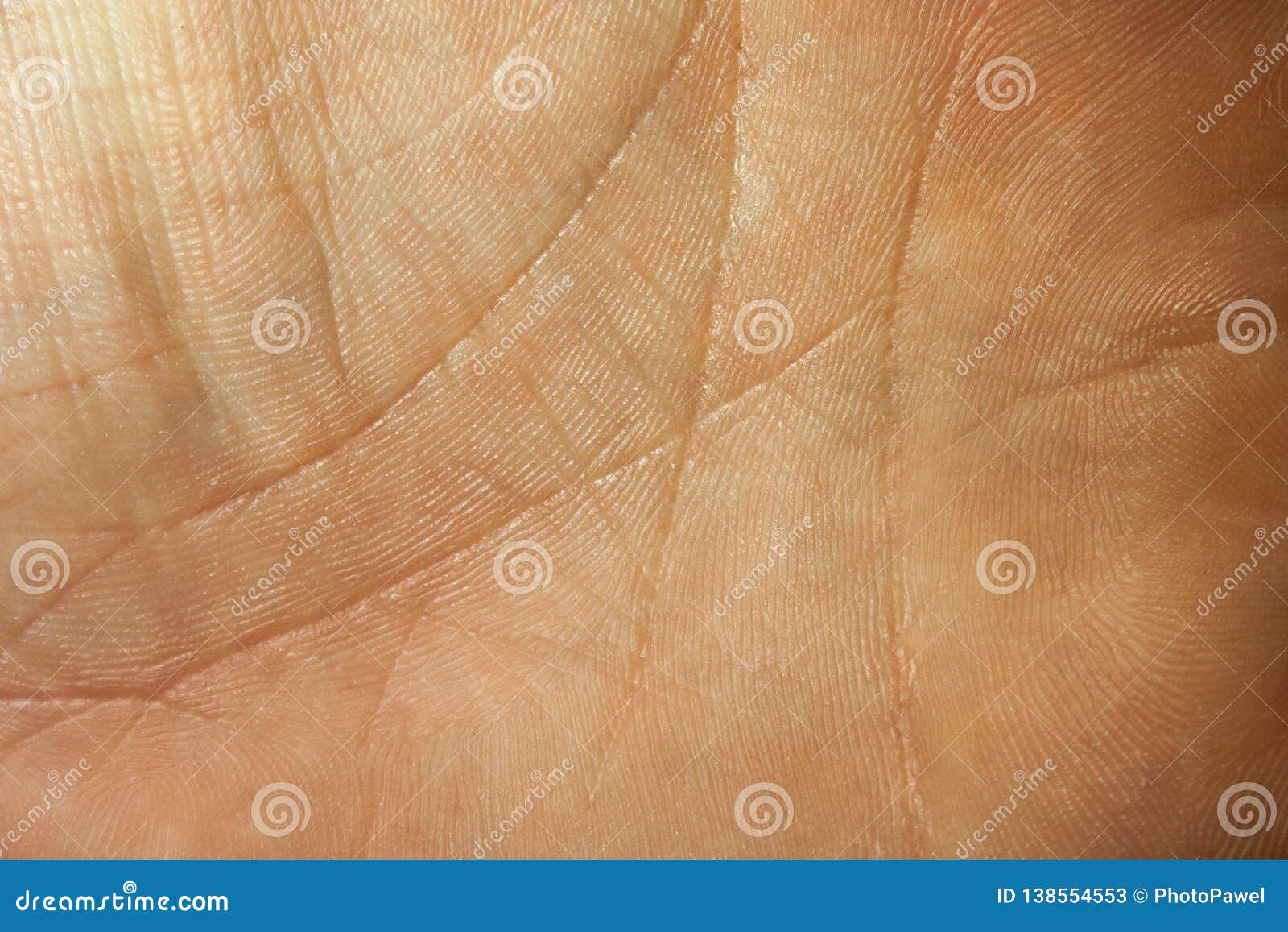 Macro Image of the Skin Surface Texture of Human Hands Palms Stock ...