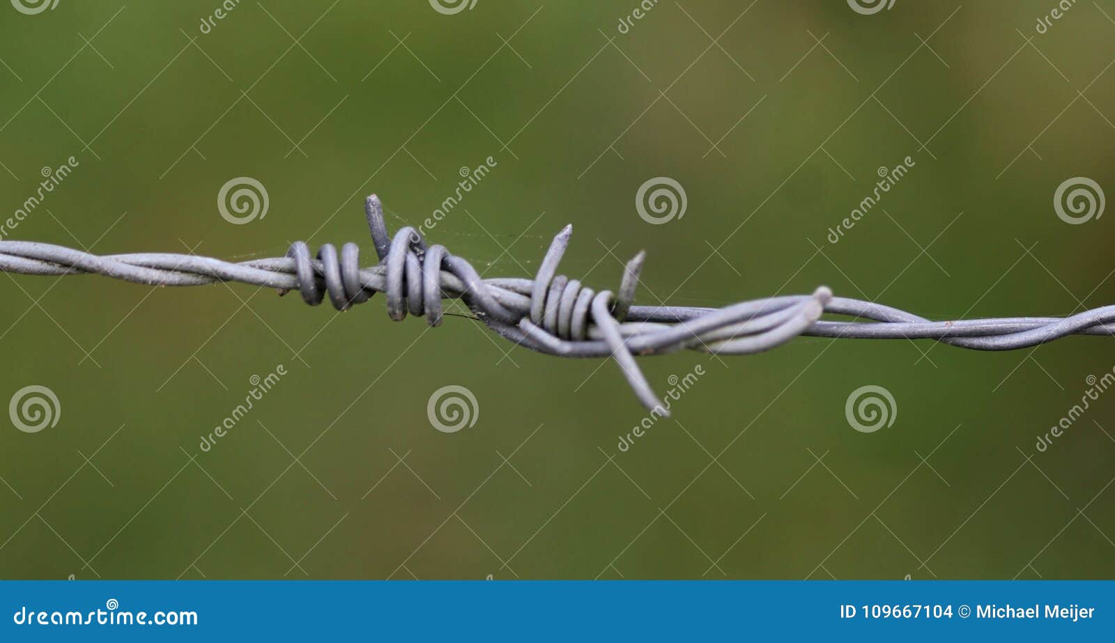 Iron steel barbed wire stock photo. Image of fence, line - 109667104