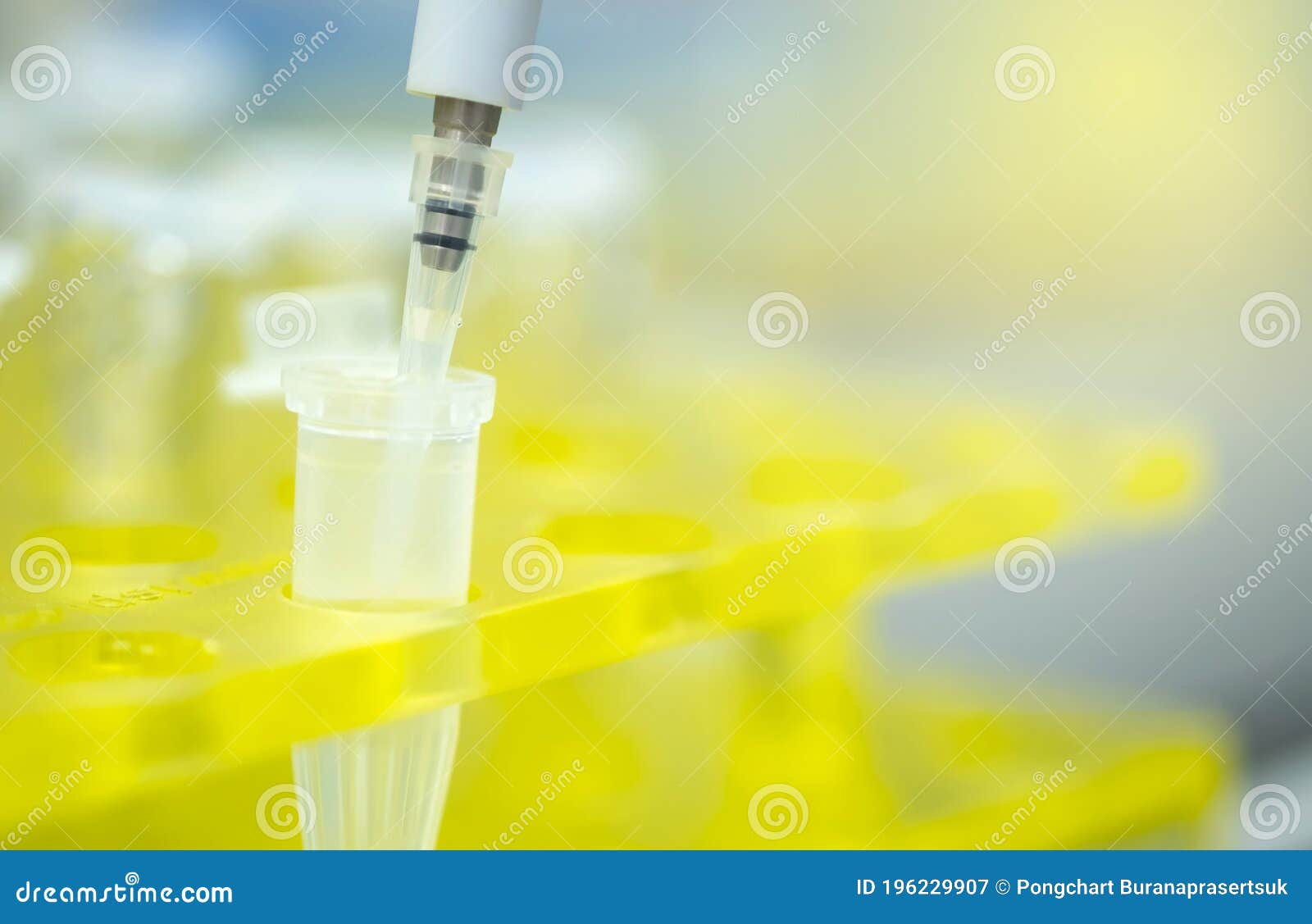 Close Up Macro of Micropipette Transfer Sample into an Eppendorf Under ...