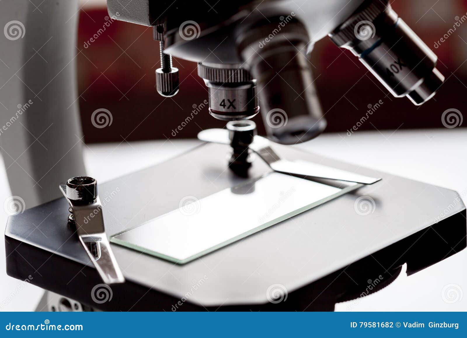 Close Up Macro Microscope in the Laboratory Stock Photo - Image of ...