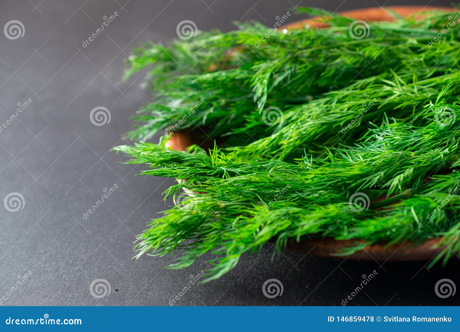 Close Up Macro Shot of Fresh Green Dill Herbs on a Plate Stock Photo ...