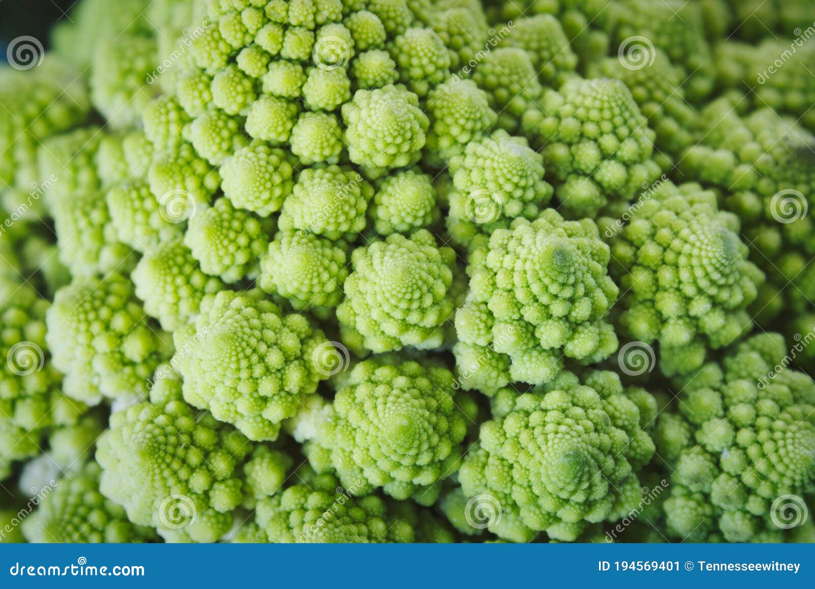 Close-up Macro Shot of Fresh Green Romanesco Broccoli Stock Image ...