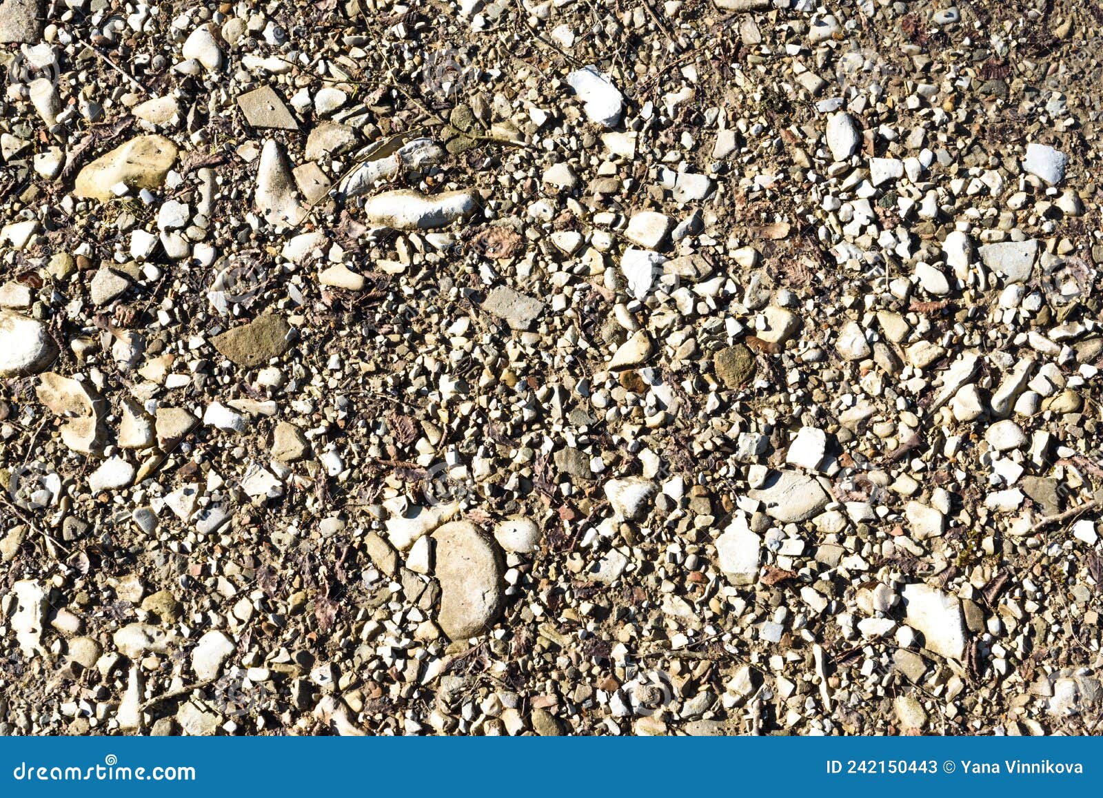Close Up Macro View of Dirt and Stones. Soil Background with Text Space ...