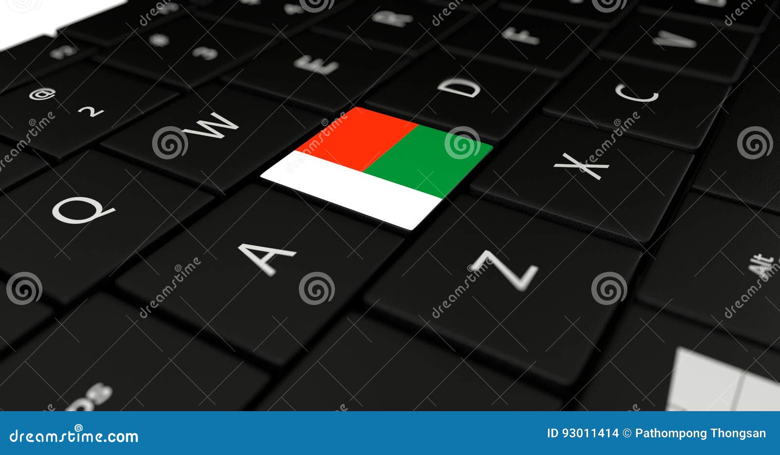 Close Up of Madagascar Button. Stock Illustration - Illustration of ...