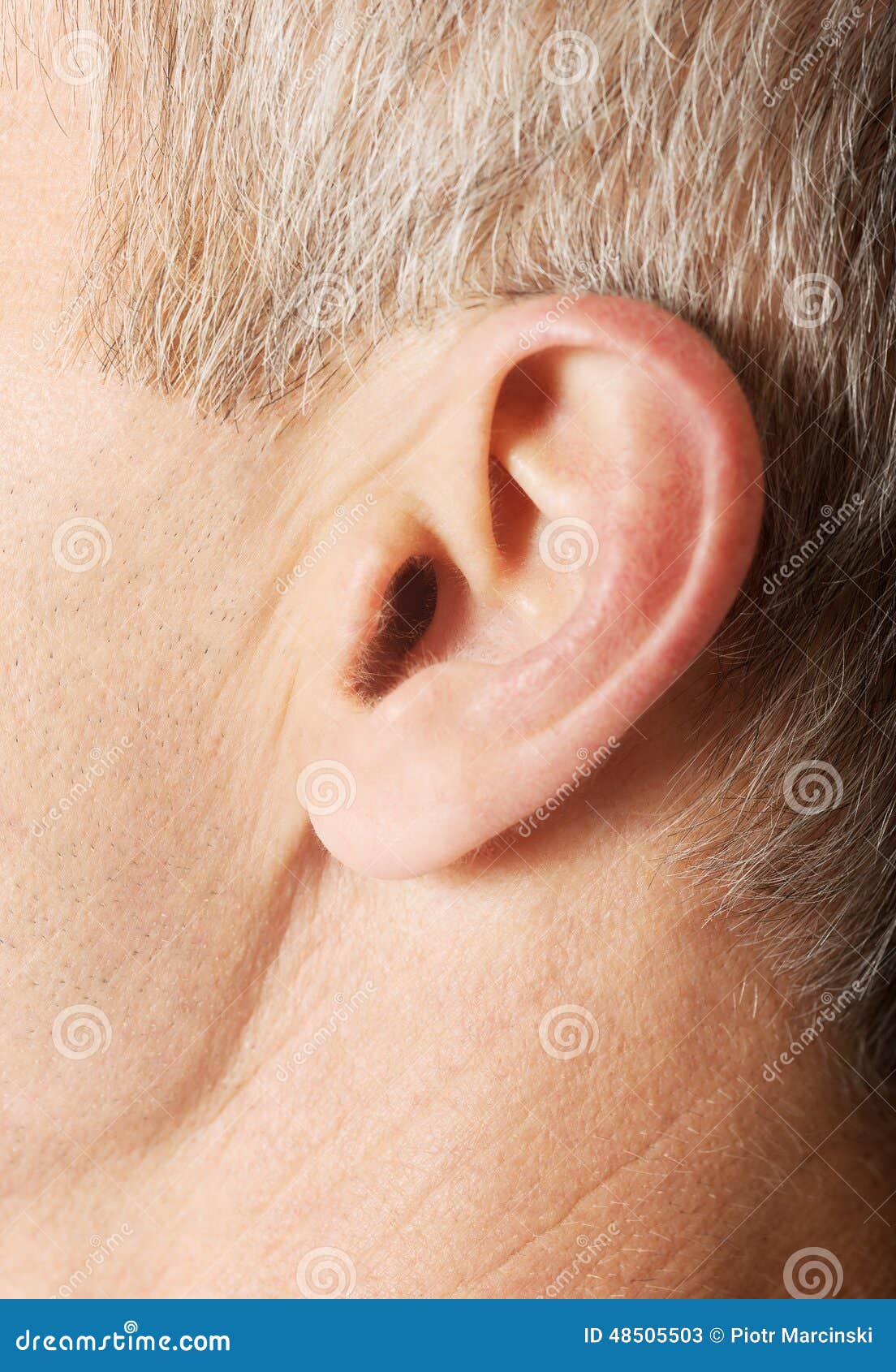 Close up on male ear stock image. Image of attention - 48505503