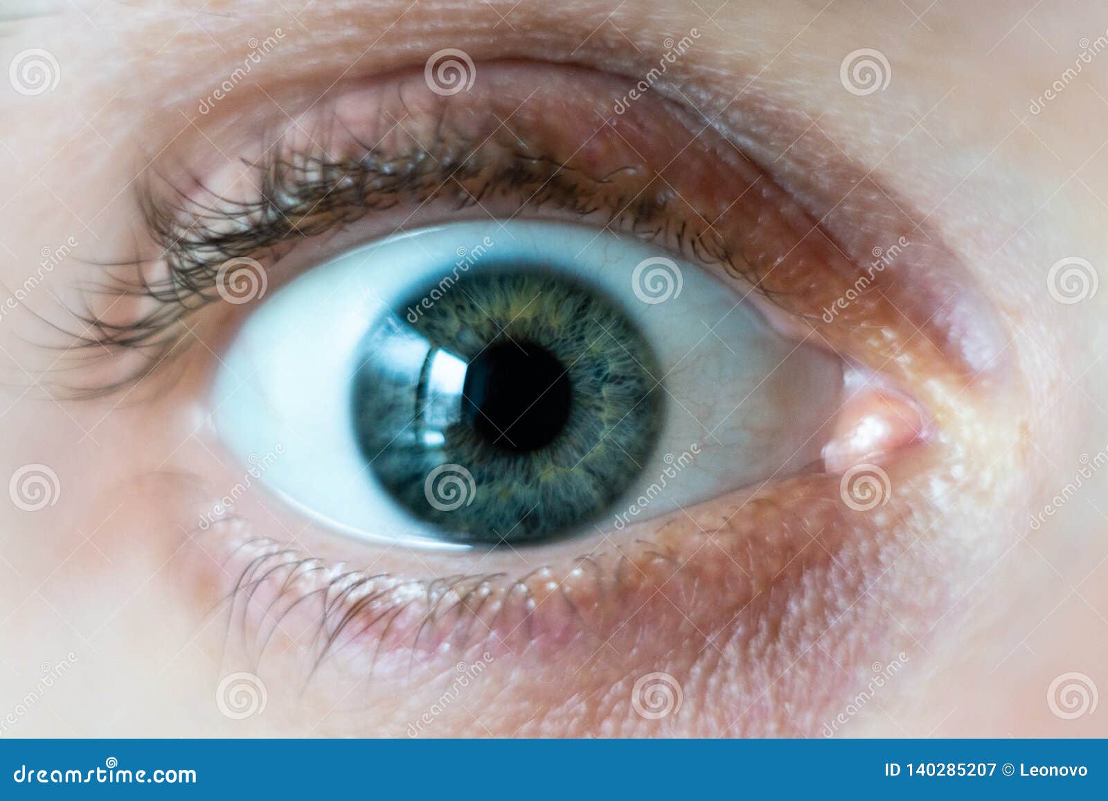 Close-up on Male Green Wide Open Eye Stock Image - Image of fear, round ...