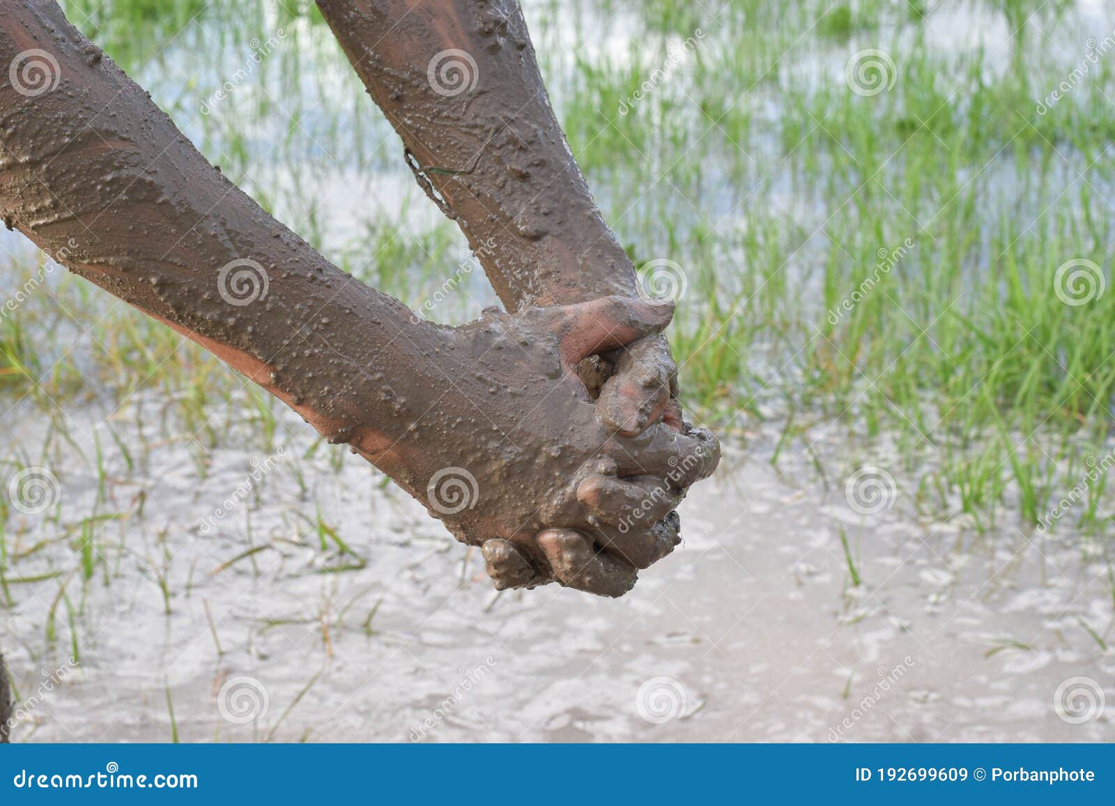 Close Up of Male Hand Covered with Mud Stock Image - Image of nature ...