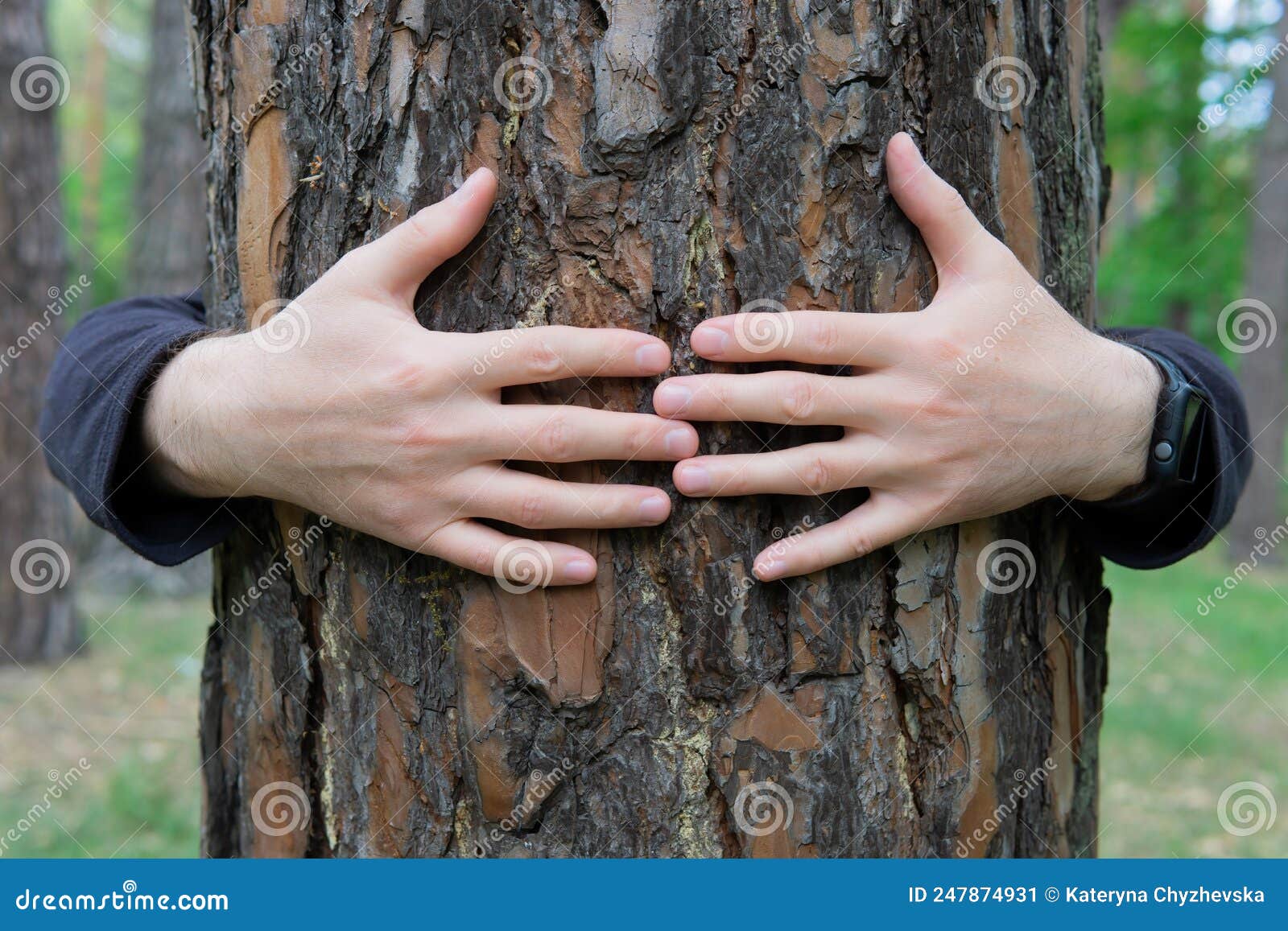 Man Hugging a Tree Trunk in a Forest Stock Image - Image of dedication ...