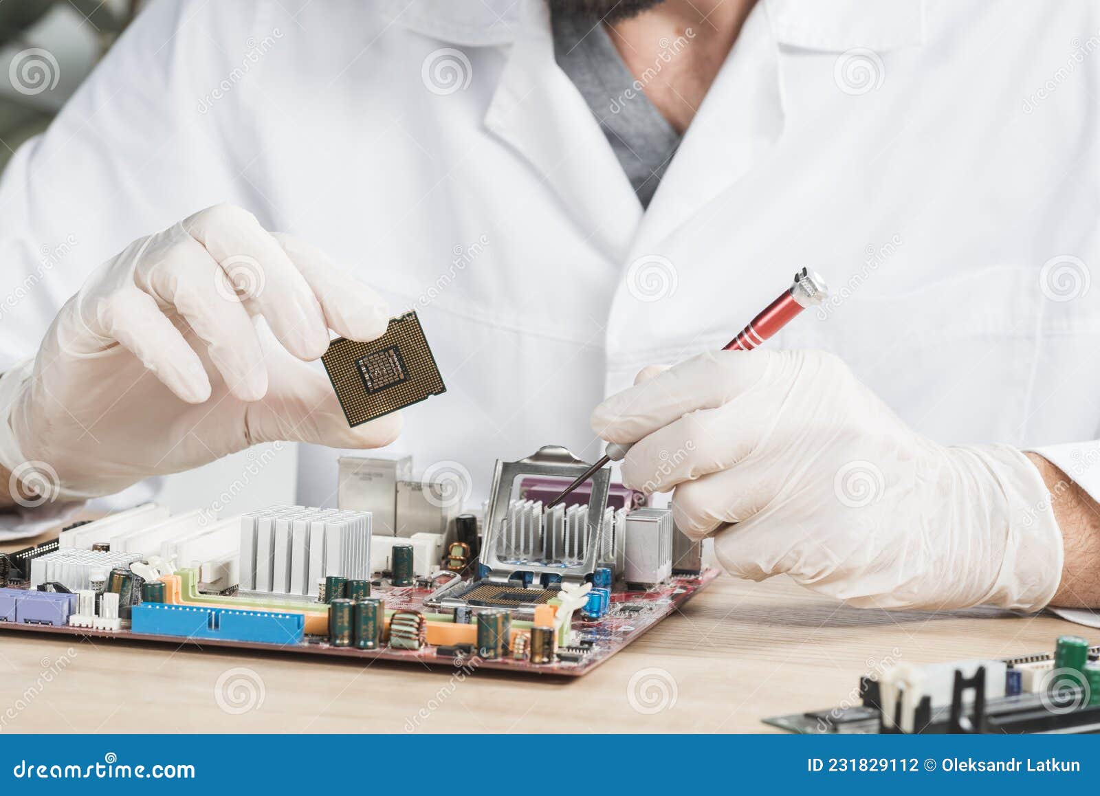 Close Up Male Technician Holding Computer Chip. High Quality Photo ...