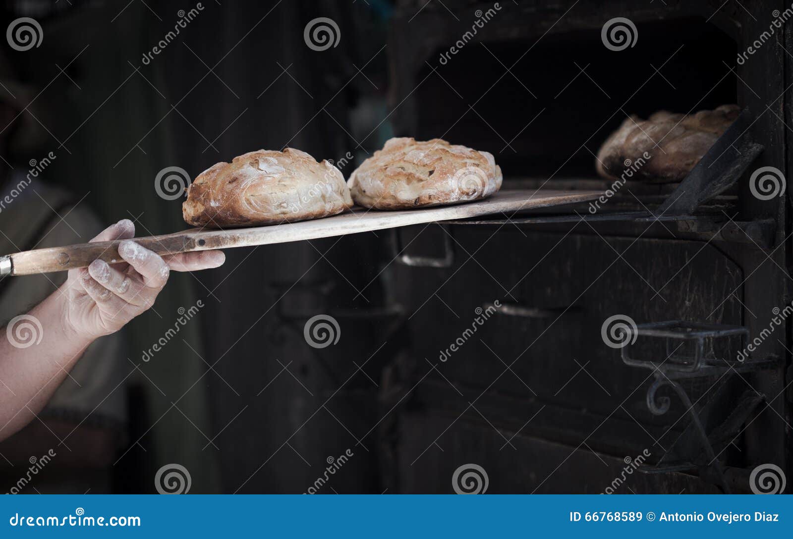 Close-up of a Man Baker Introducing Breads in a Classic Oven Stock ...