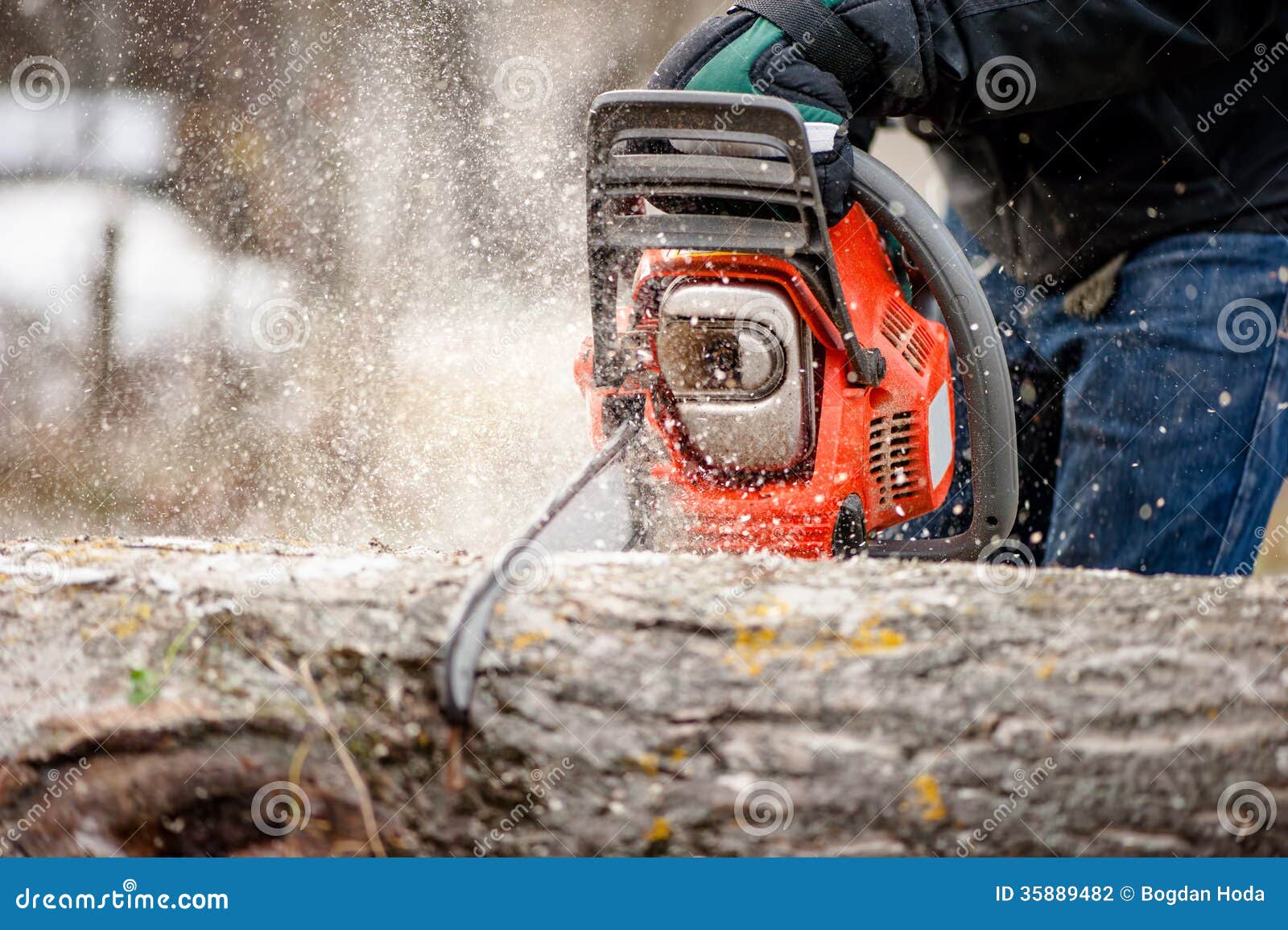 Close-up of Man Cutting Trees from Forest with Chainsaw Stock Photo ...