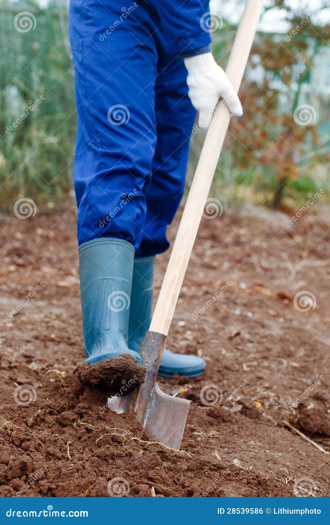 Close Up of a Man Digging Soil Stock Photo - Image of closeup, farmer ...