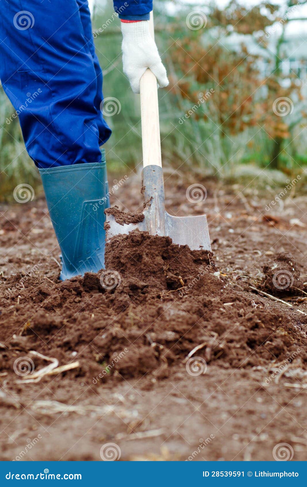 Close Up of a Man Digging Soil Stock Image - Image of effort, empty ...